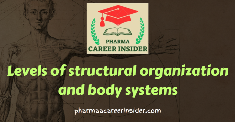 Levels of structural organization and body systems - Pharmacareerinsider
