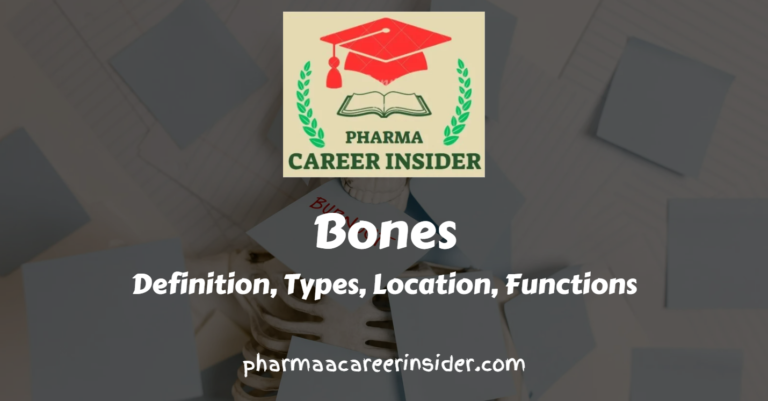 Bones: Definition, Types, Location, Functions - Pharmacareerinsider