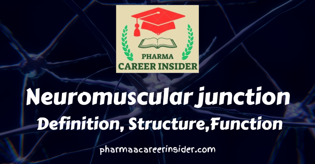 Neuromuscular junction: Definition, Structure,Function ...