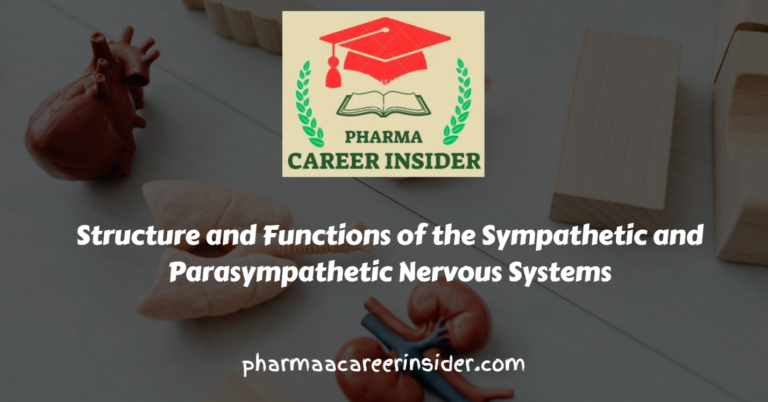 Structure and Functions of the Sympathetic and Parasympathetic Nervous ...