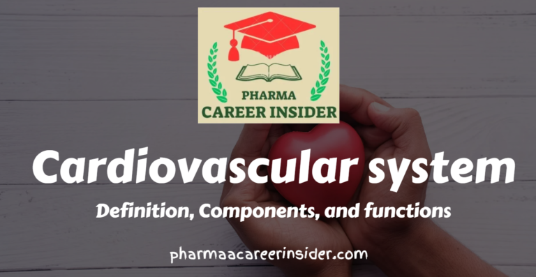 Cardiovascular system: Definition, Components, and functions ...