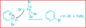 Bromination of Benzene - Pharmacareerinsider