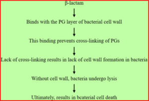 Penicillin: Definition, Background, Nomenclature, and Mechanisms ...